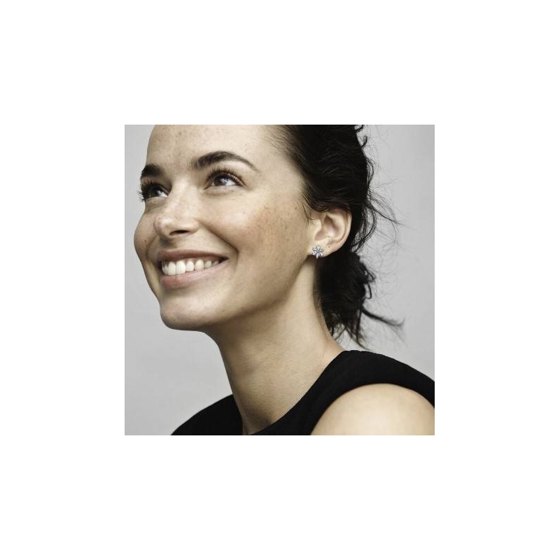 Pendientes Pandora Herbario Brillante 292633C01