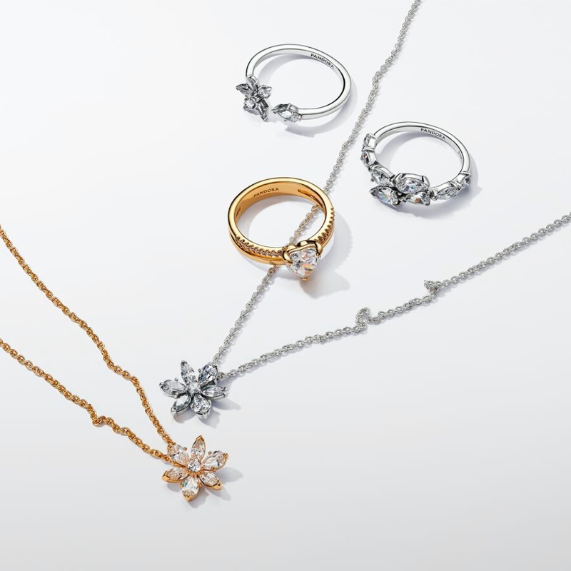 Collar Pandora Herbario Brillante 362387C01-45 - Joyerías Sánchez