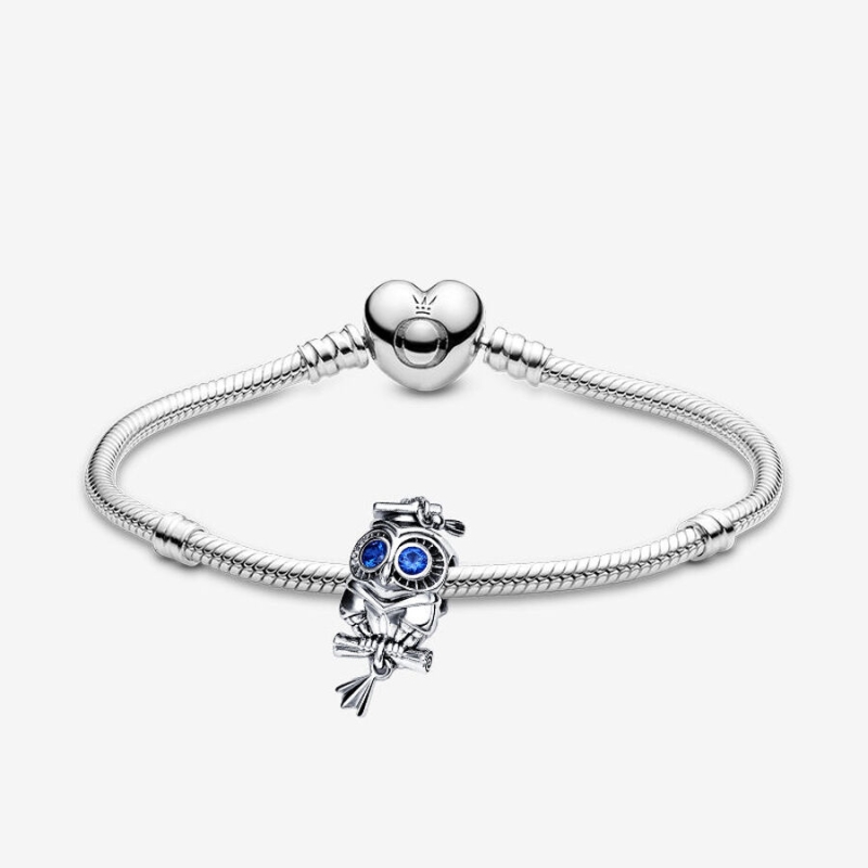 Charm Búho Sabio Graduación 798907C01