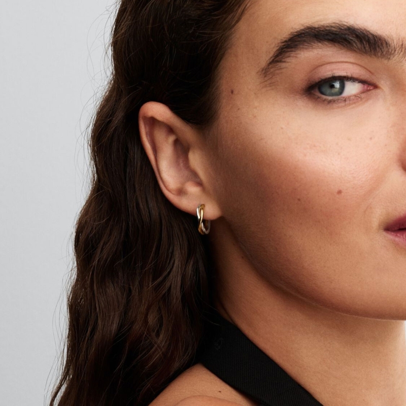 Pendientes Pandora Aros Bicolor 263880C00