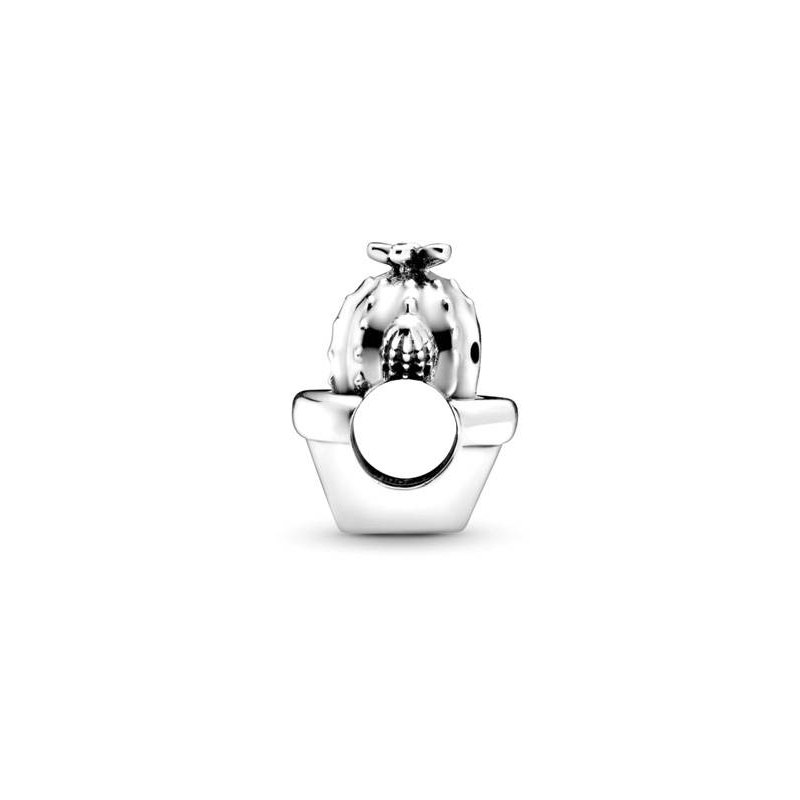Charm Pandora Cactus Abrazo Gratis 798786C01