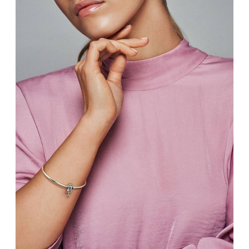 Charm Búho Sabio Graduación 798907C01