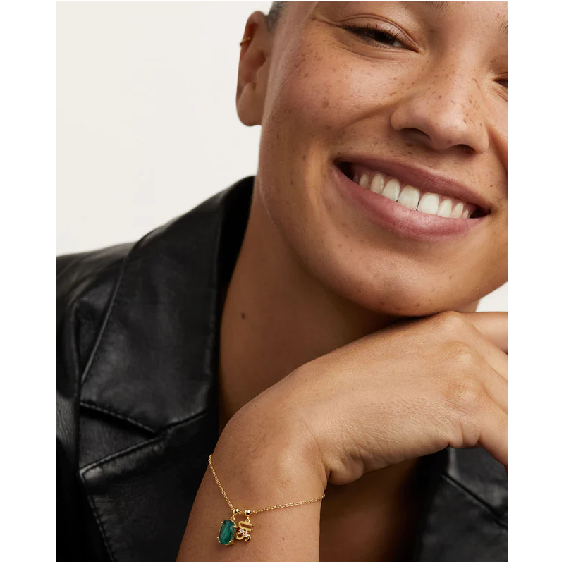 CHARM PDPAOLA AMISTAD DE PLATA CON BAÑO DE ORO Y CIRCONITA CH01-032-U